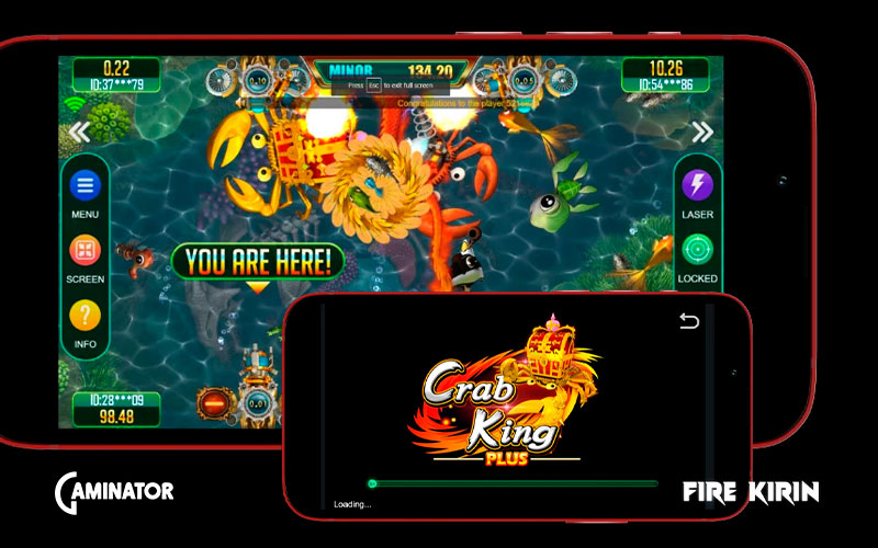 Gaminator & Fire Kirin Overview | Order a Casino Platform